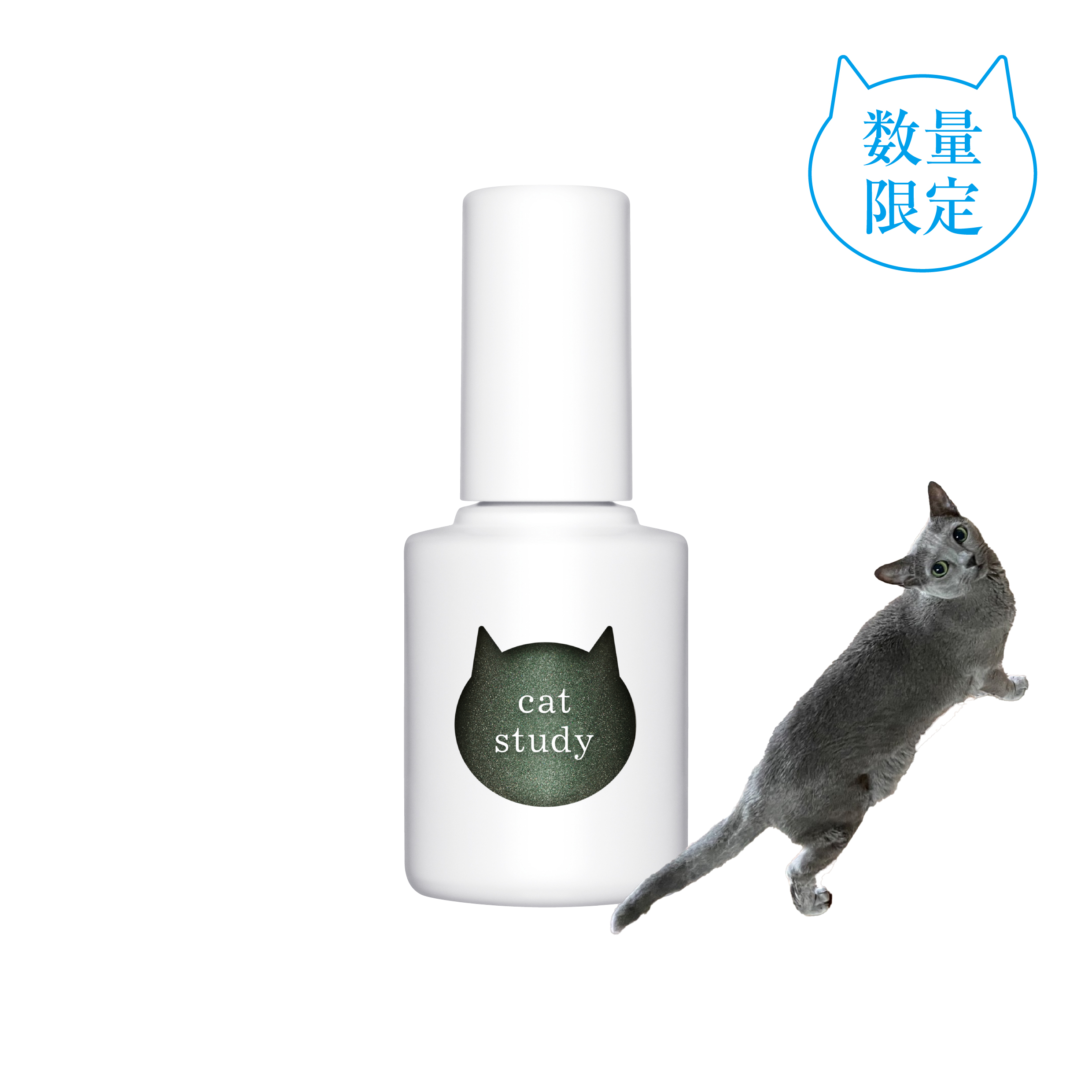 uka cat study russian blue green | 【公式】オンラインストアukakau