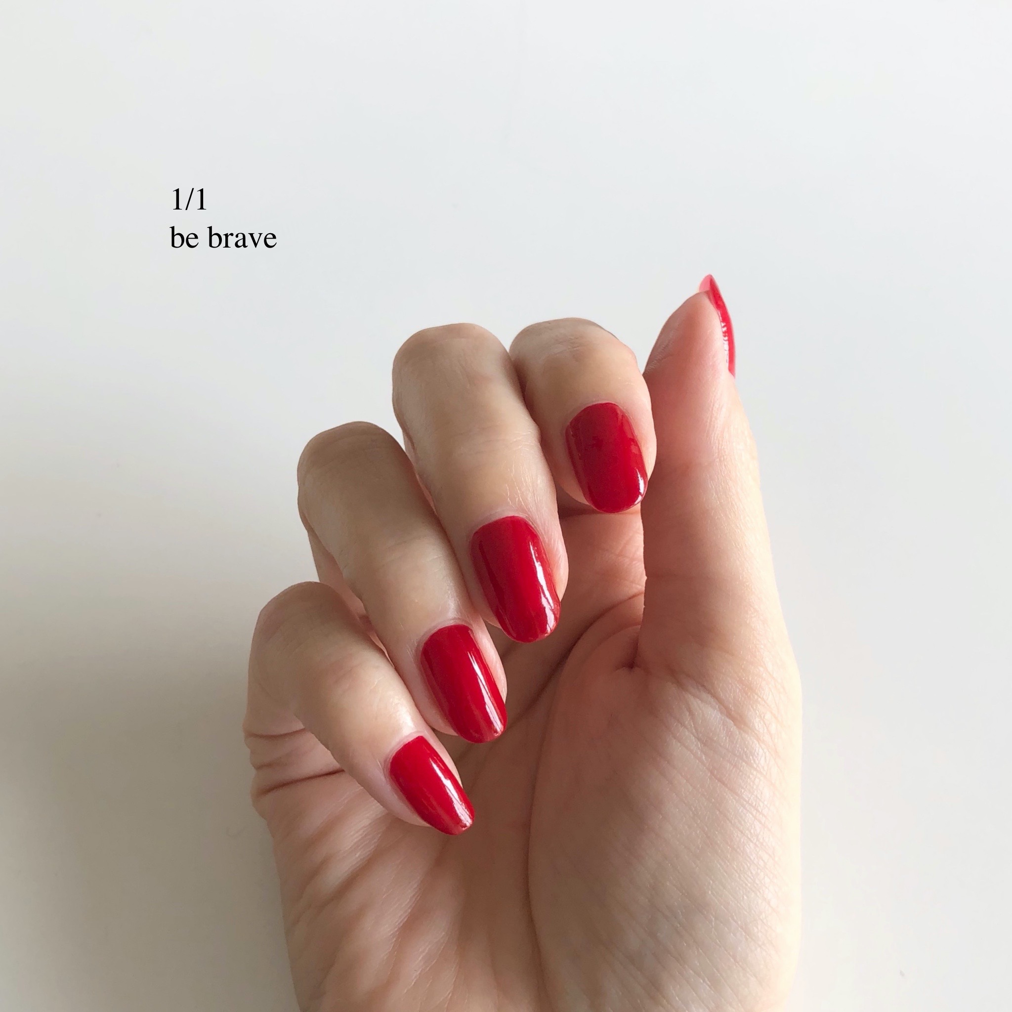 uka red study one 1/1 | uka公式オンラインストア ukakau